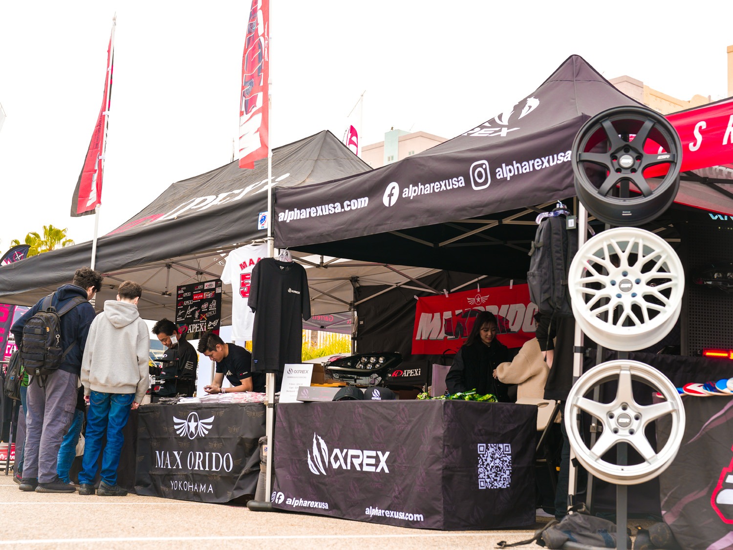 AlphaRex in Action | AlphaRex Blog