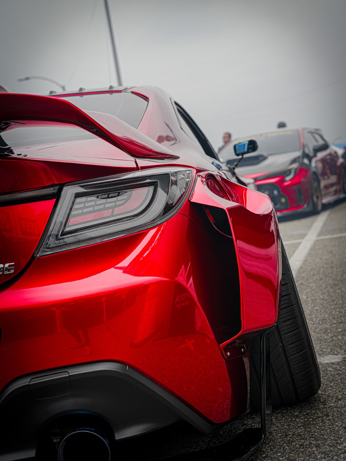 AlphaRex in Action | AlphaRex Blog