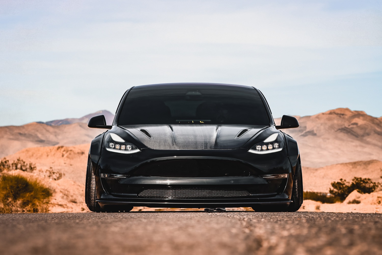 Tesla Model 3 (2017-2023) / Model Y (2020-2024) Gallery | AlphaRex Blog