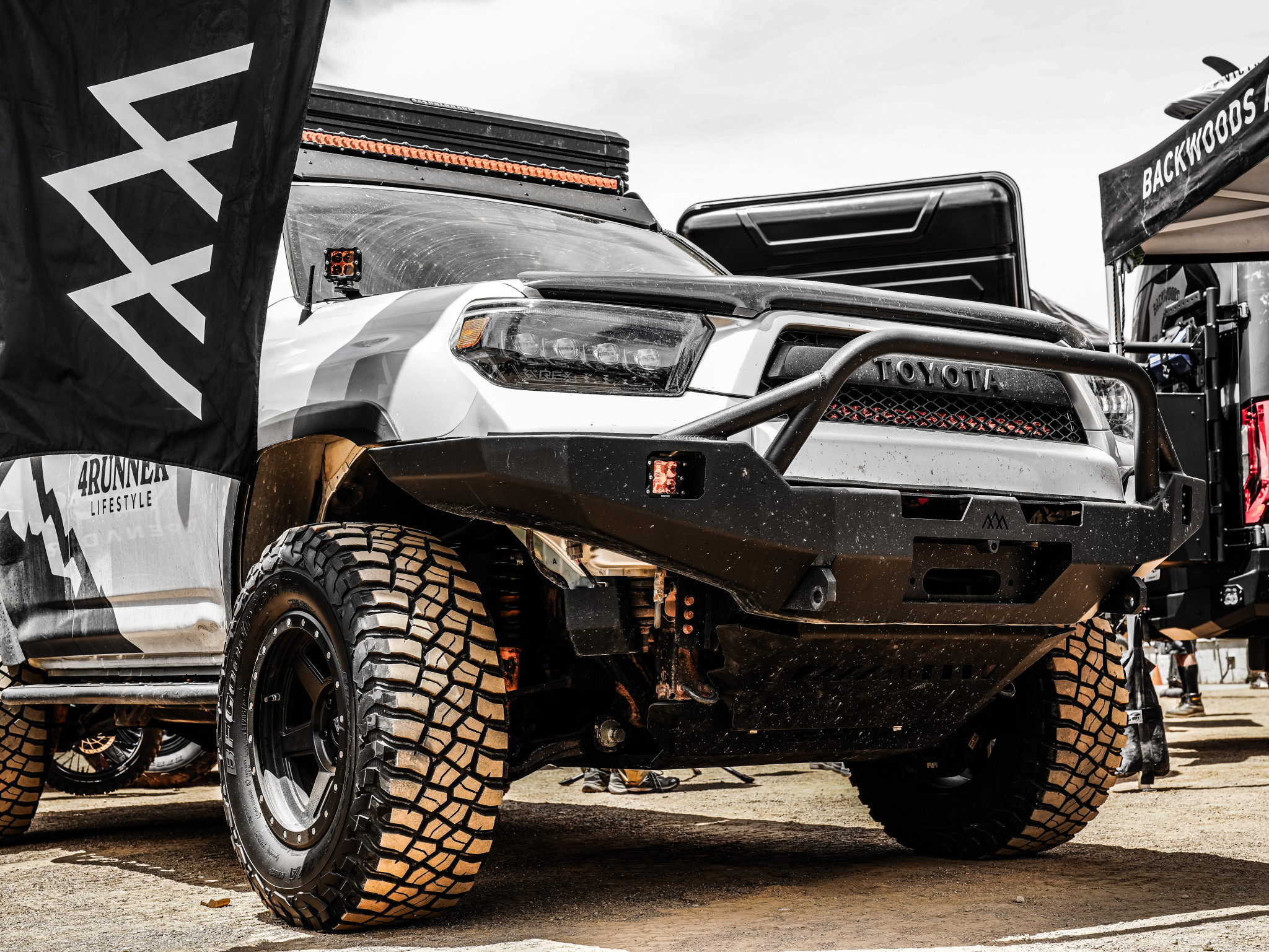 AlphaRex in Action | AlphaRex Blog