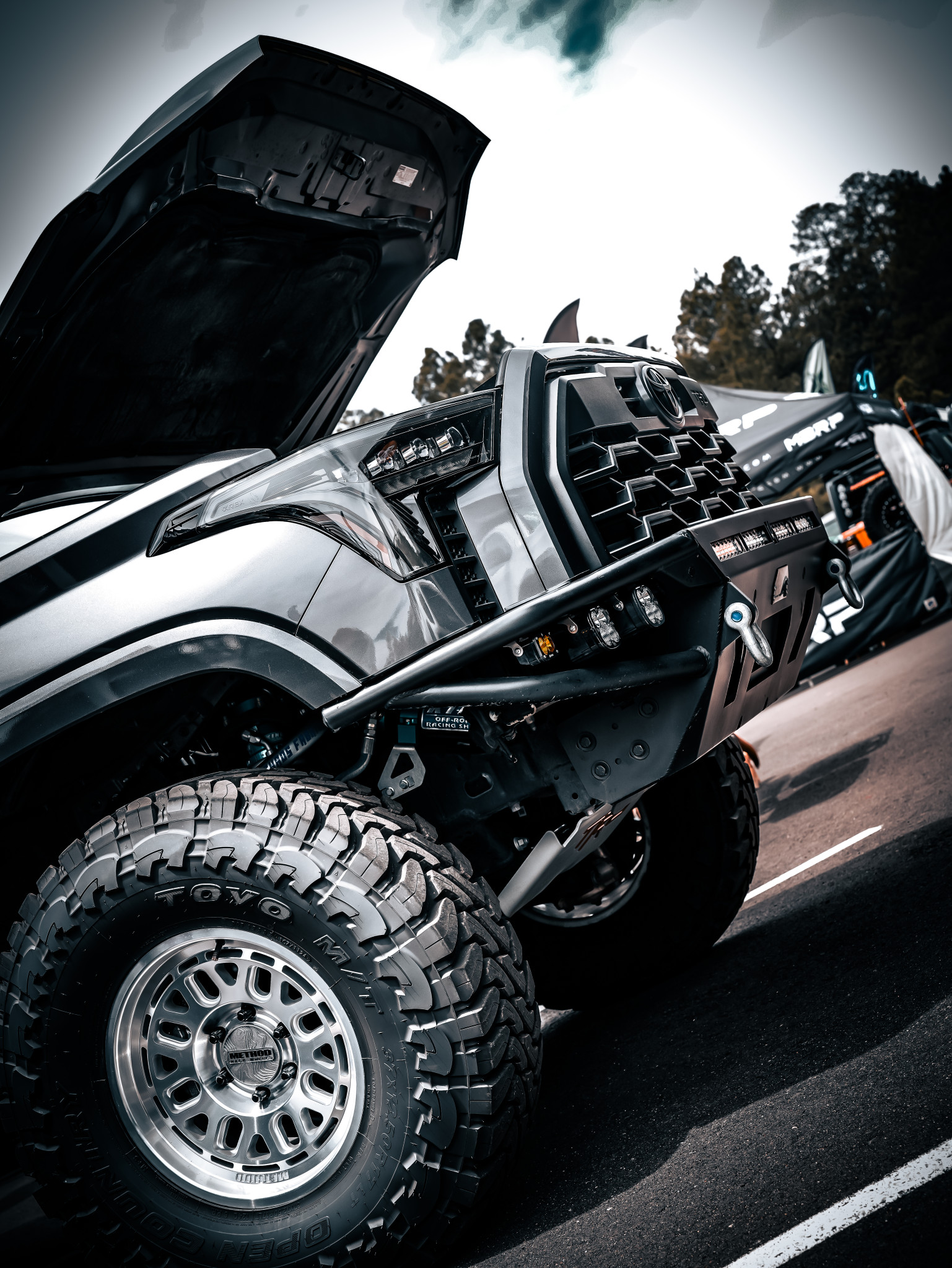 AlphaRex in Action | AlphaRex Blog