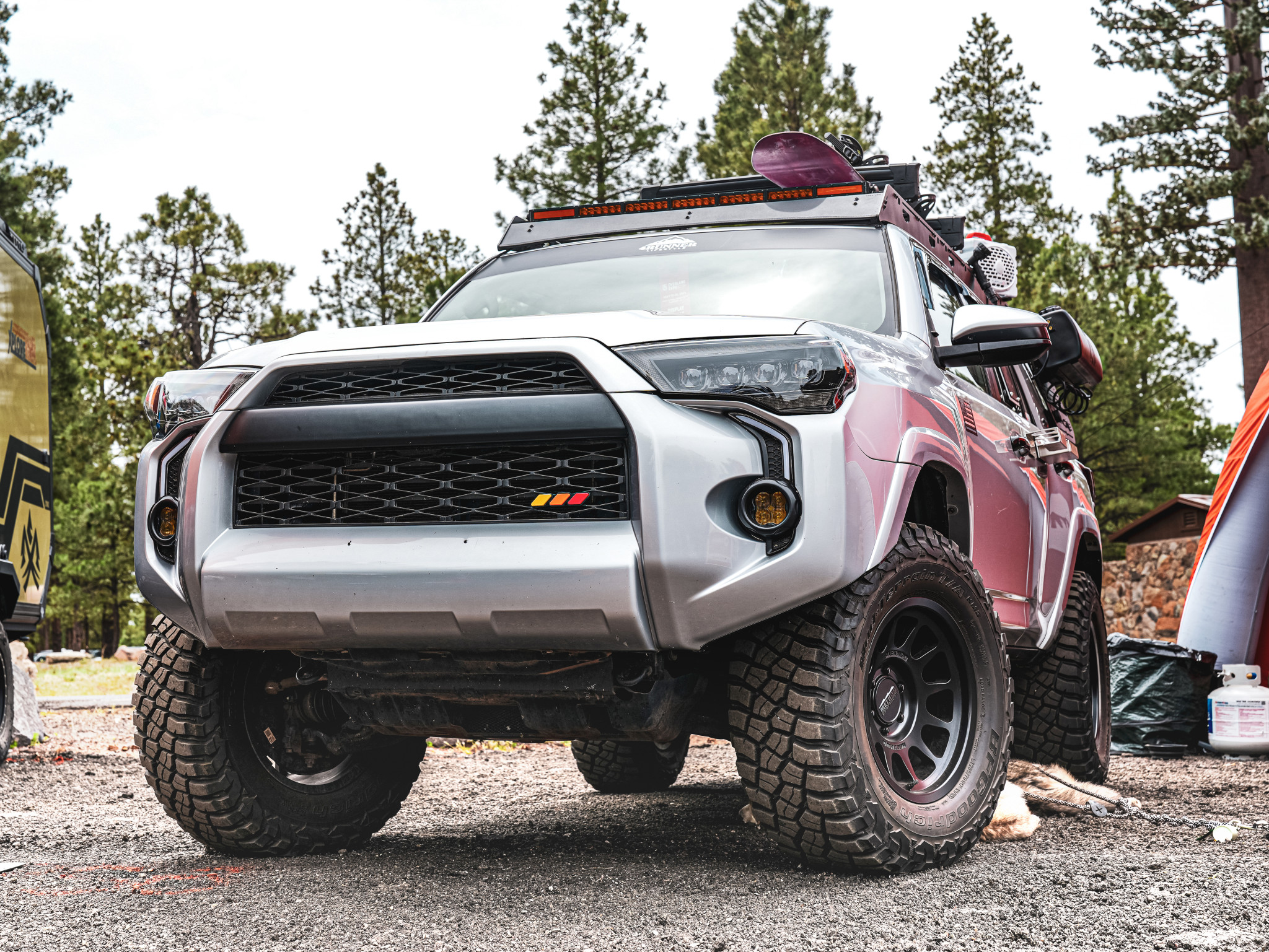 AlphaRex in Action | AlphaRex Blog