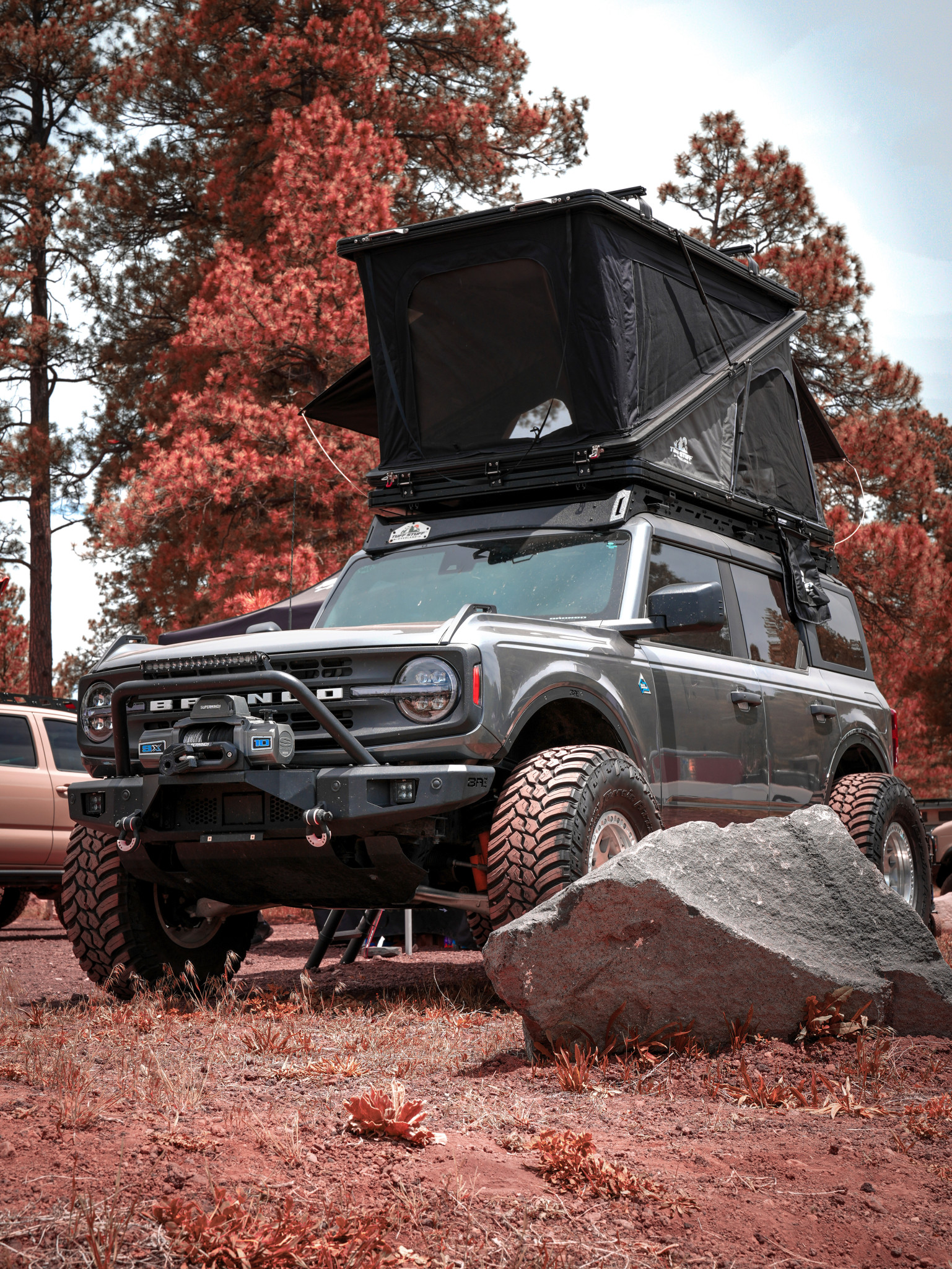 AlphaRex in Action | AlphaRex Blog