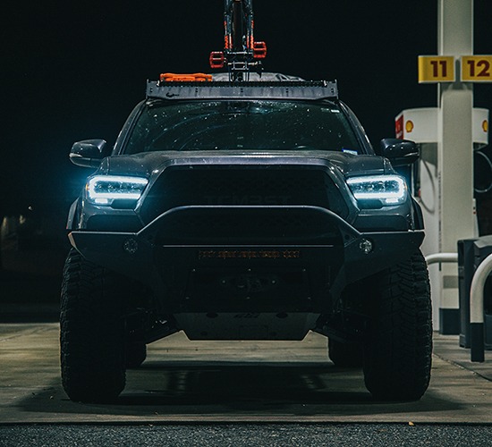 AlphaRex Chronicles | AlphaRex Blog