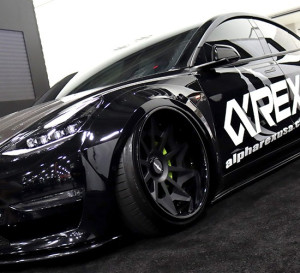 AlphaRex Chronicles | AlphaRex Blog