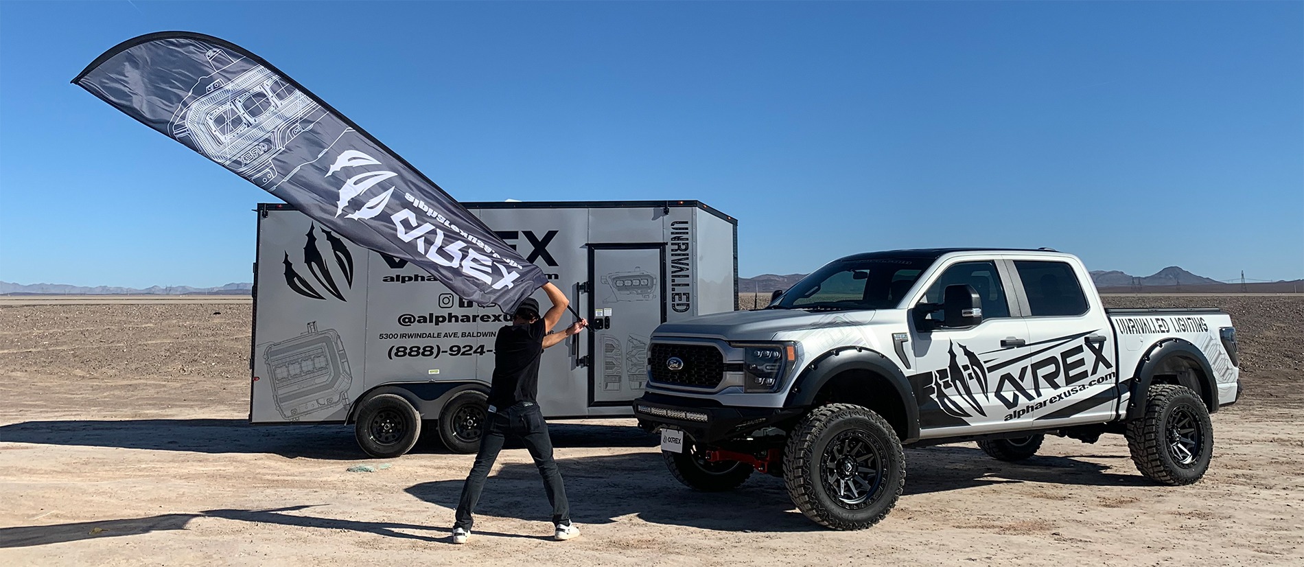 AlphaRex Insight | AlphaRex Blog