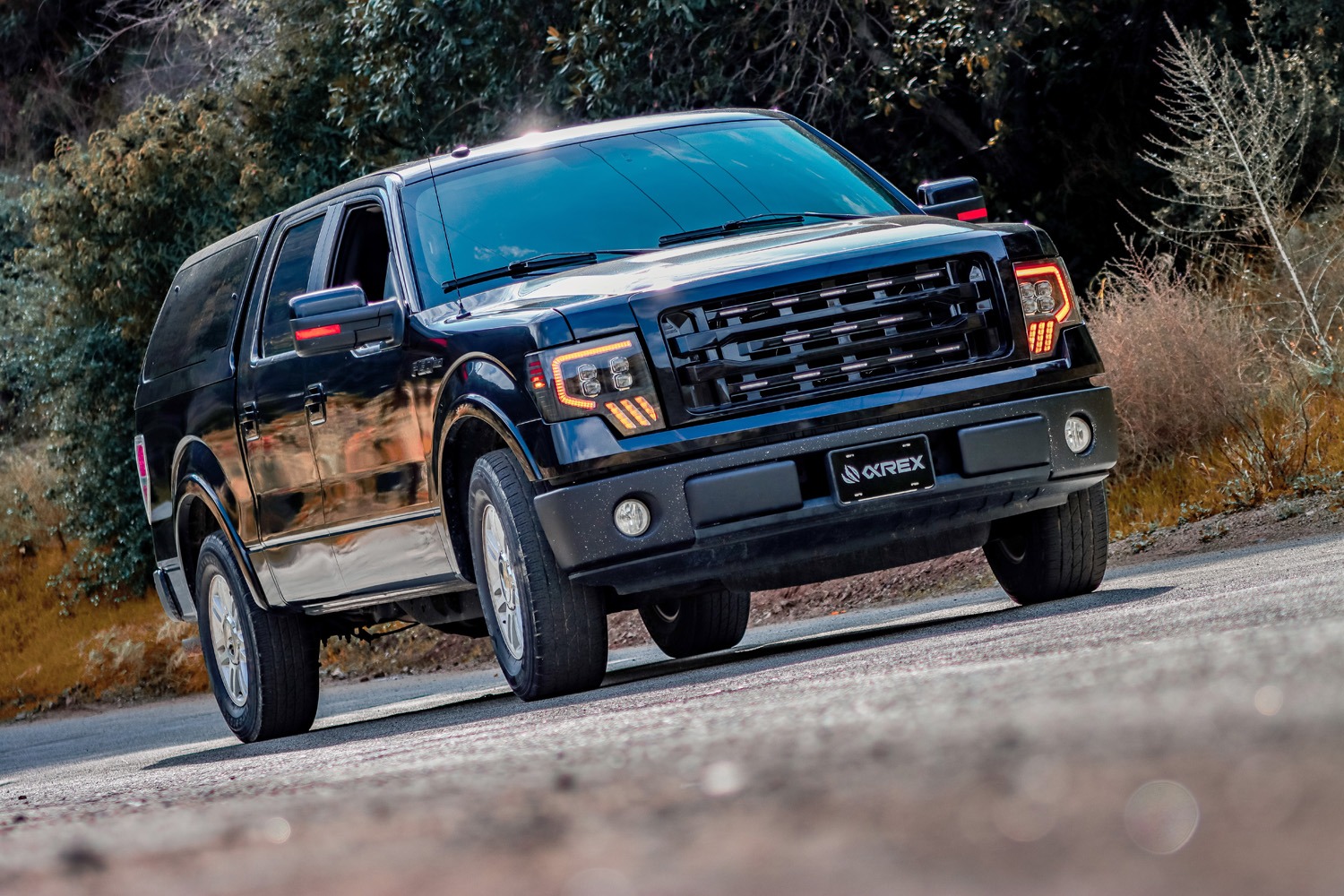 Ford F150 (2009-2014) Gallery | AlphaRex Blog