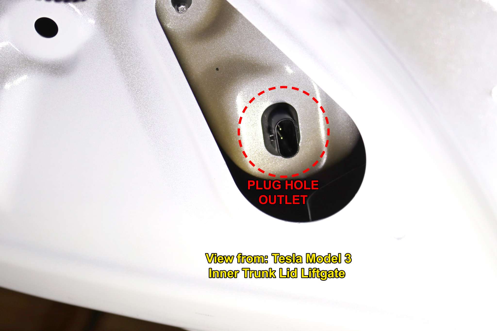 How to Trim the Plugs for 2023 Tesla Model 3 PRO-Series Tail Lights ...