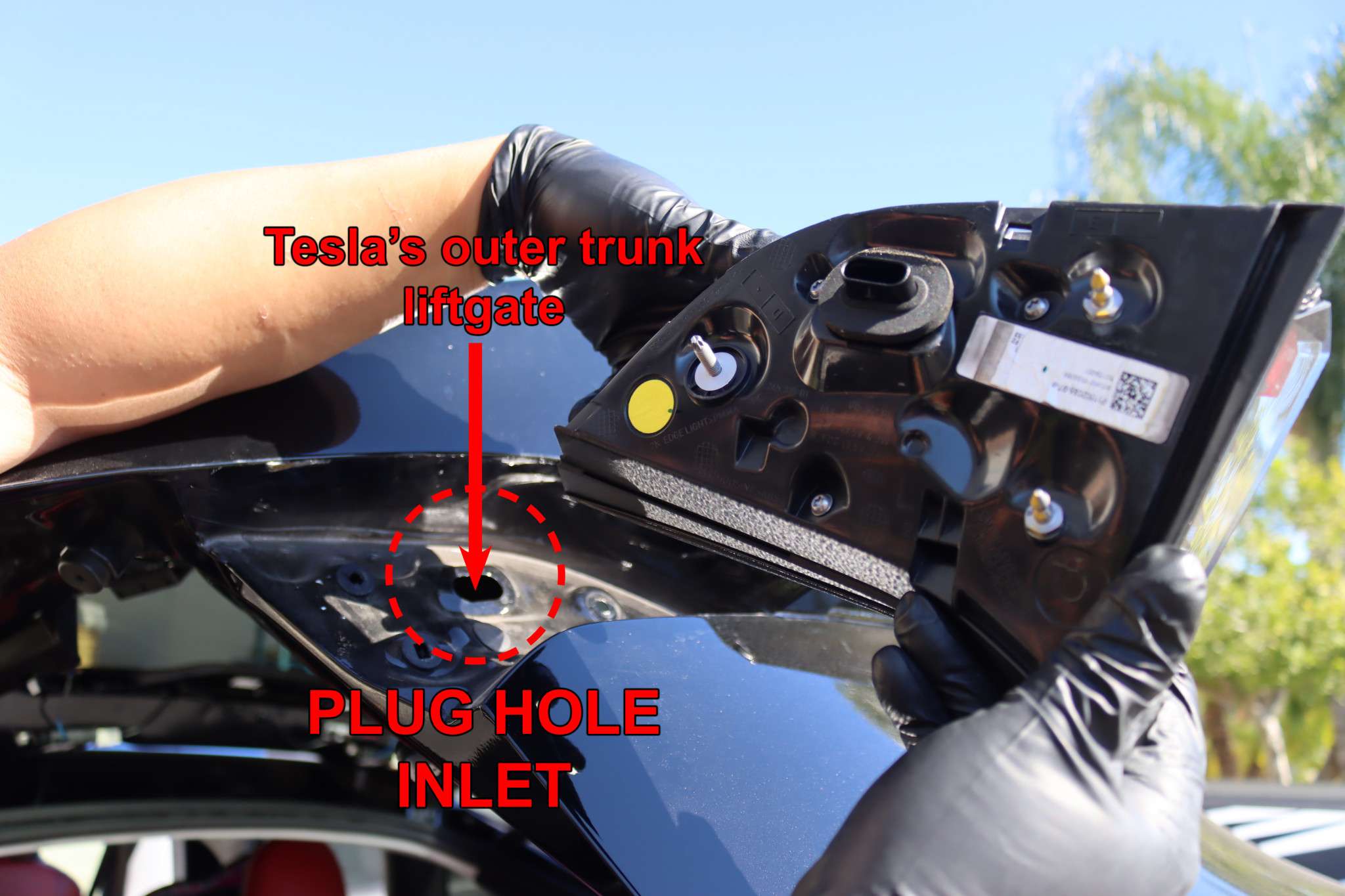 How to Trim the Plugs for 2023 Tesla Model 3 PRO-Series Tail Lights ...